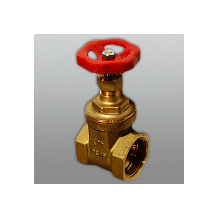 Jung Pumpen Absperrschieber JP44785 DN 32 PN 16