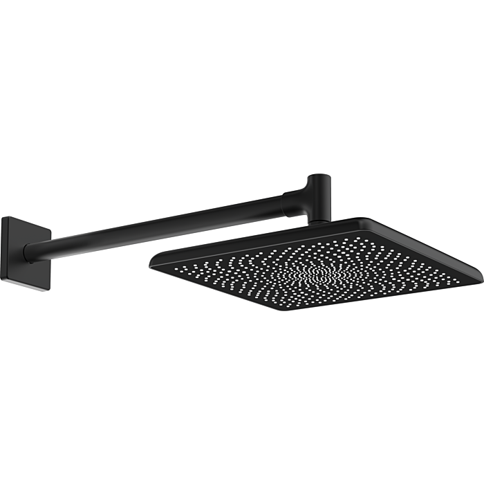 Hansa HANSAAURELIA Kopfbrause 4726034033 Wandmontage, matt-schwarz